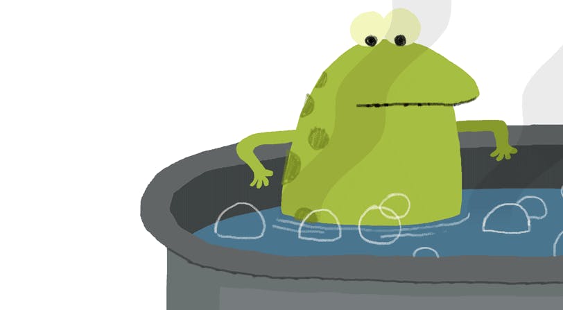 Hopping Normality | The Nib