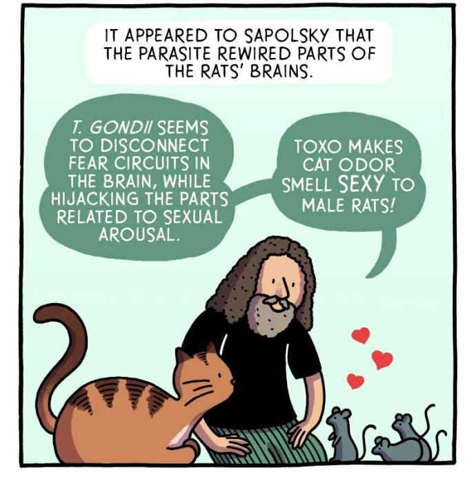 “Crazy Cat People,” Explained | The Nib