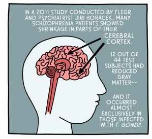 “Crazy Cat People,” Explained | The Nib