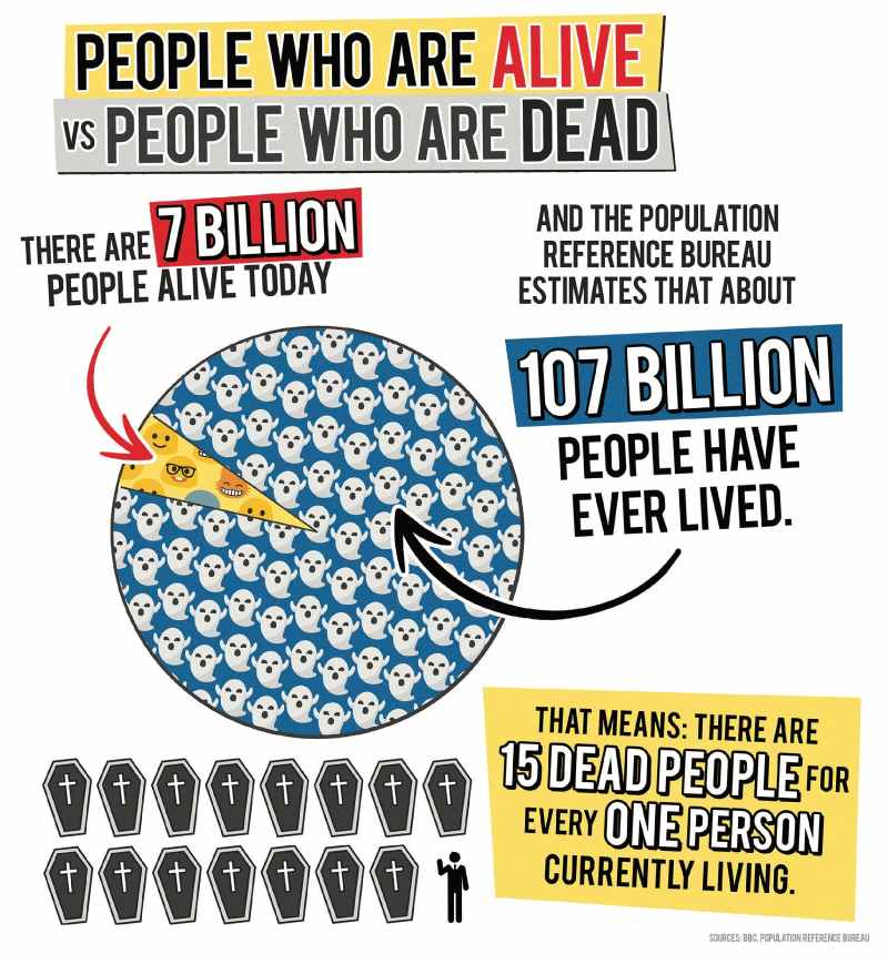 Death, By the Numbers | The Nib