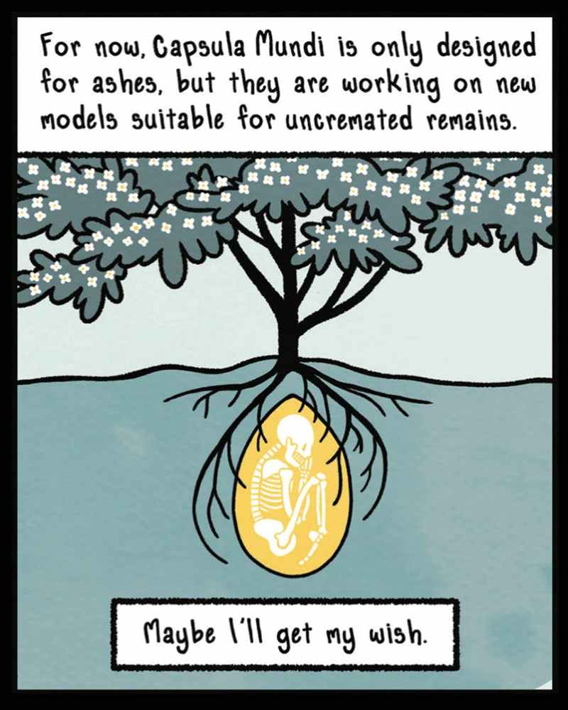 Four Cartoonists On What They Want to Happen to Their Bodies | The Nib