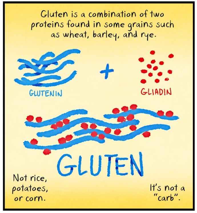 Gluten: The Facts and the Fad | The Nib