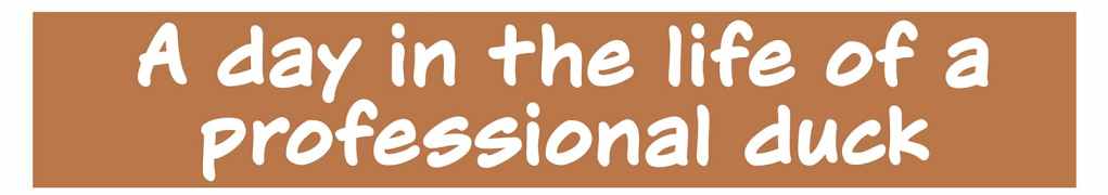 If It Looks Like a Duck… | The Nib