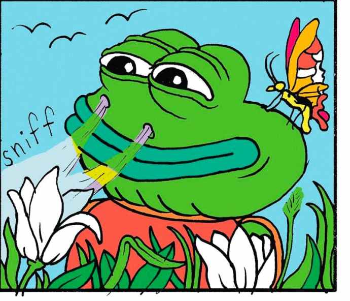 Pepe: An Explainer | The Nib