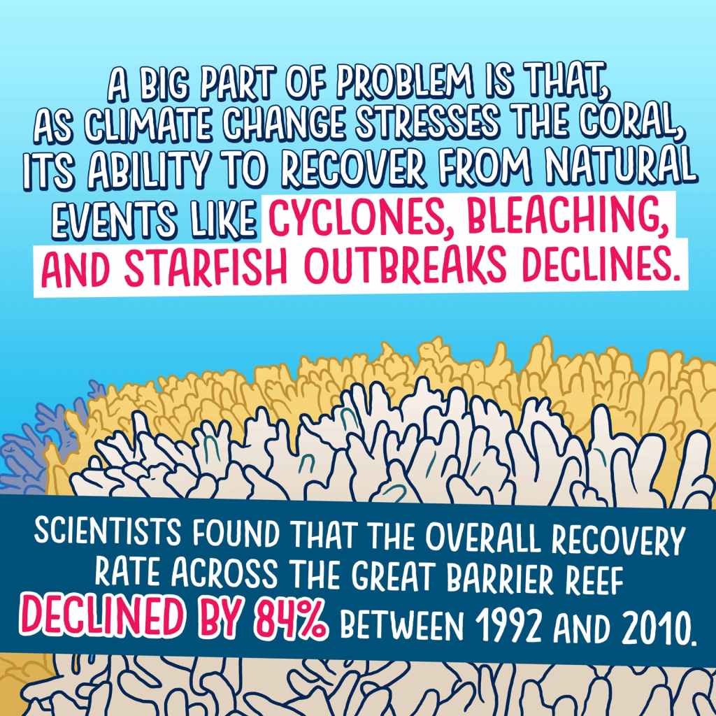 The World’s Biggest Coral Reef is Headed For Collapse | The Nib