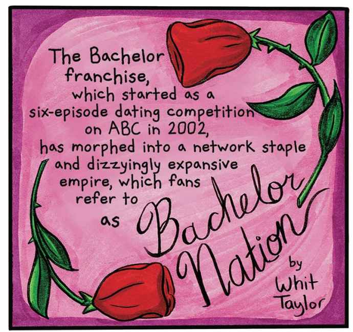 Welcome to Bachelor Nation | The Nib