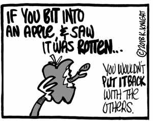 Why I Hate the “Bad Apple” Argument | The Nib