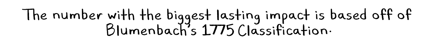 What is Race? | The Nib