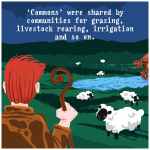 Capitalism 101 | The Nib