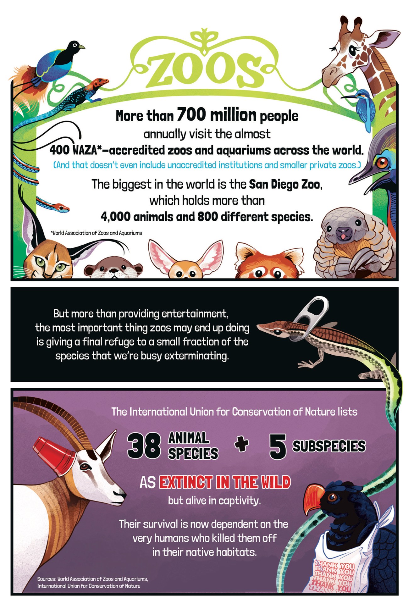 Animals, By the Numbers | The Nib