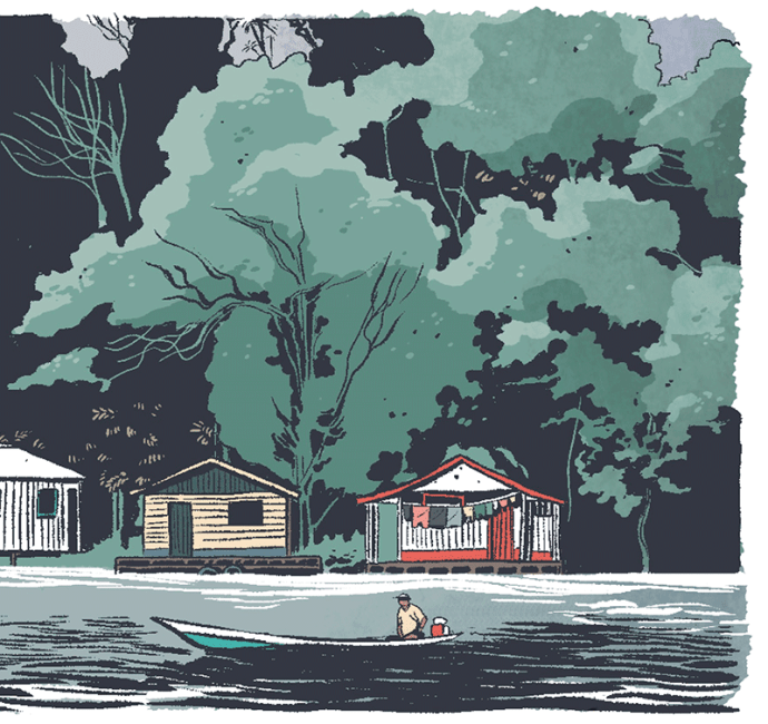 Legend of the Boto Cor-de-Rosa | The Nib