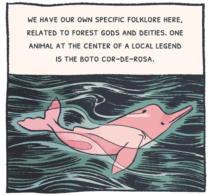 Legend of the Boto Cor-de-Rosa | The Nib