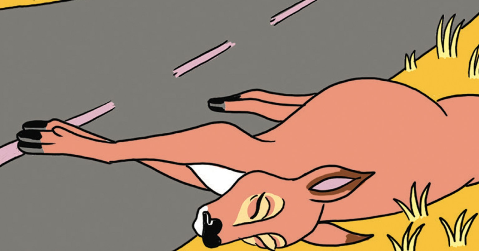 Pepe the Frog: To Sleep, Perchance to Meme | The Nib