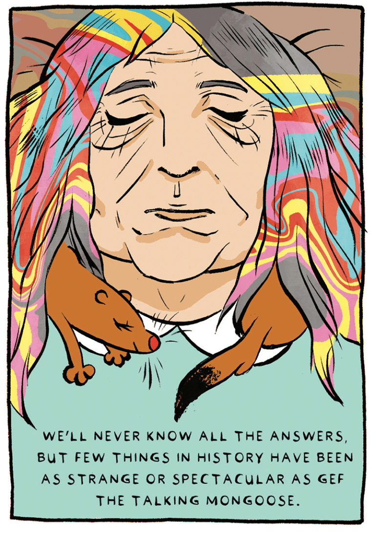 The Eighth Wonder of the World | The Nib