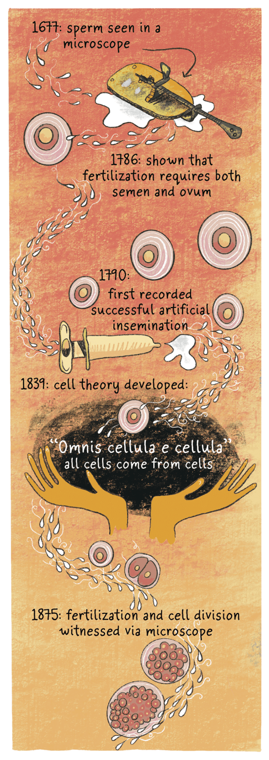 A Long Incubation | The Nib