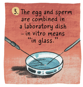 A Long Incubation | The Nib