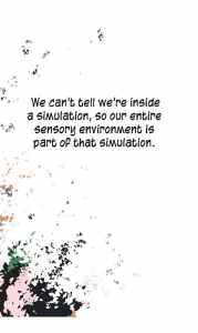 Are We Living In A Computer Simulation? | The Nib