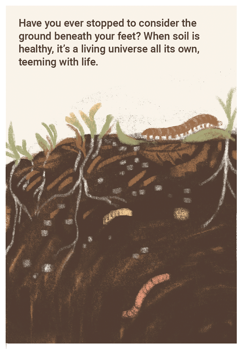 Living Soil | The Nib