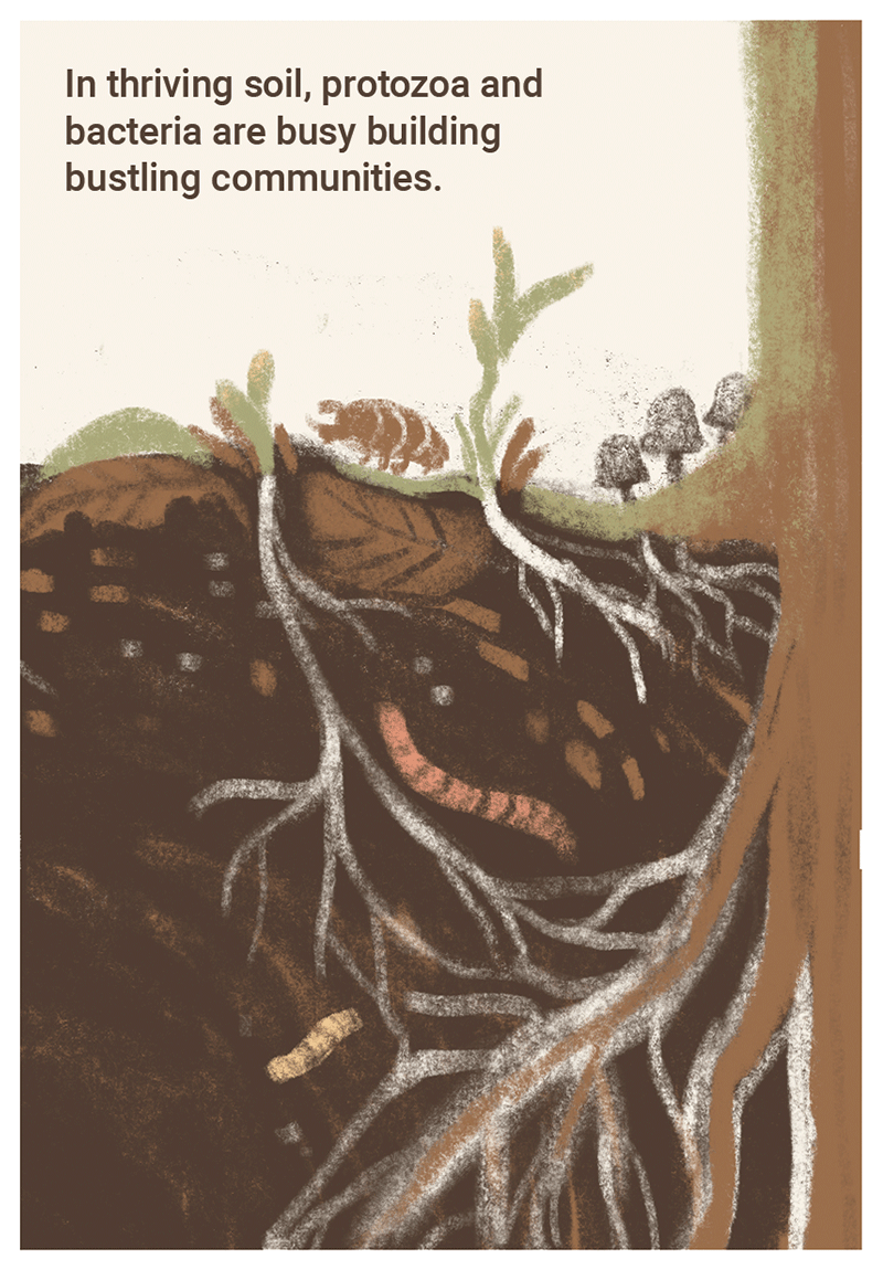 Living Soil | The Nib