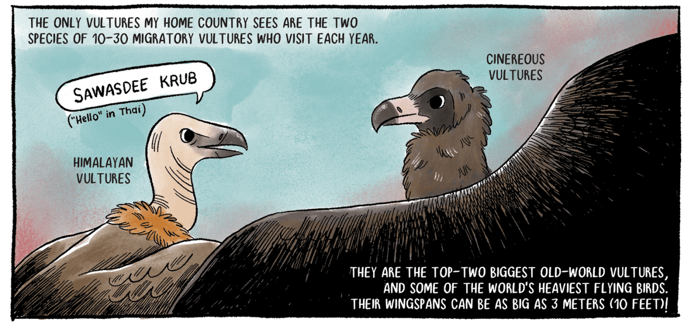 Restaurant for Vultures | The Nib