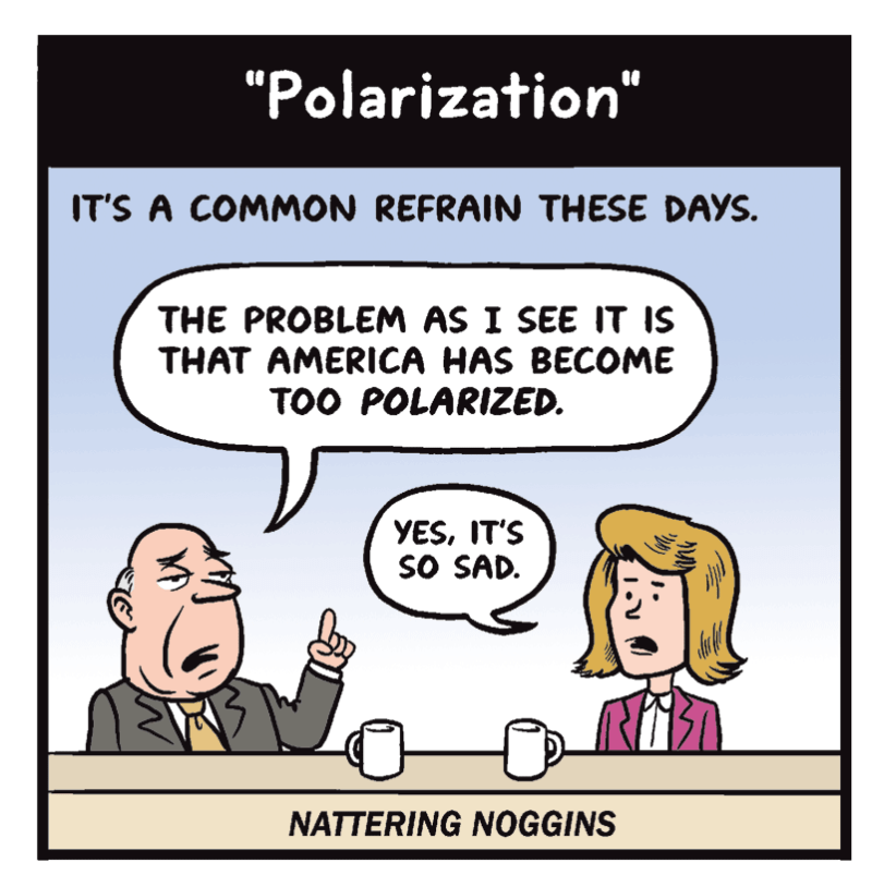 Polarization Alert! | The Nib