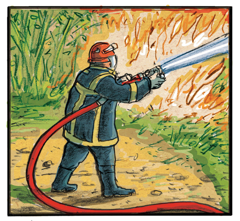 Fanning the Flames | The Nib