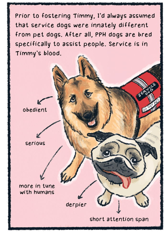 Working Like a Dog | The Nib