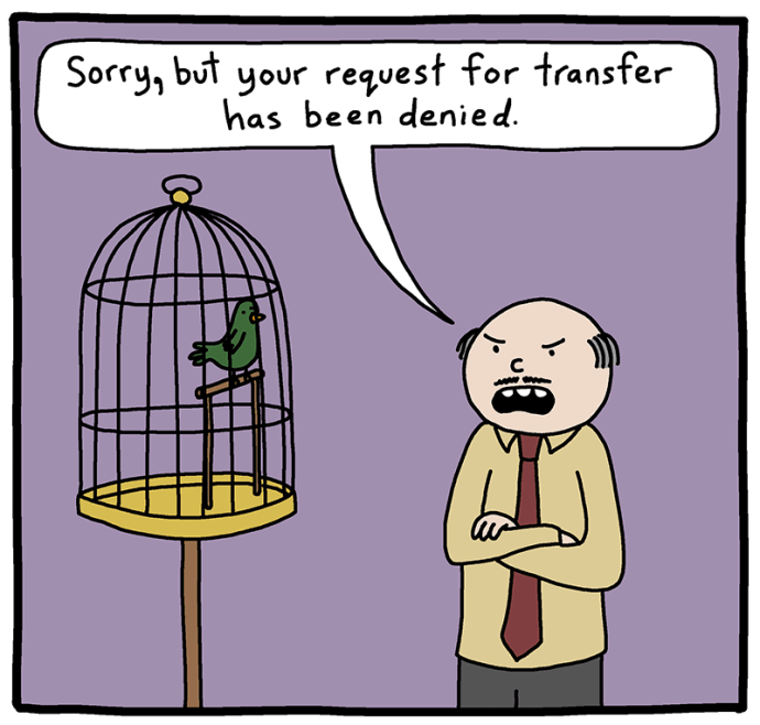Managed Expectations | The Nib