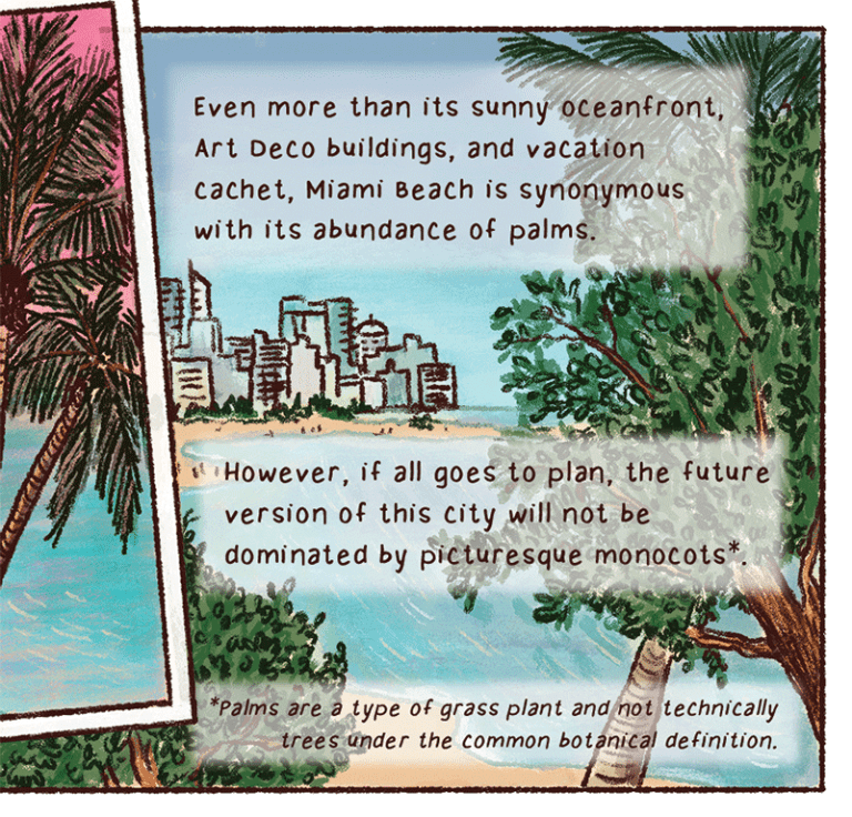 Shady Behavior | The Nib