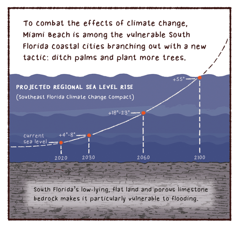 Shady Behavior | The Nib